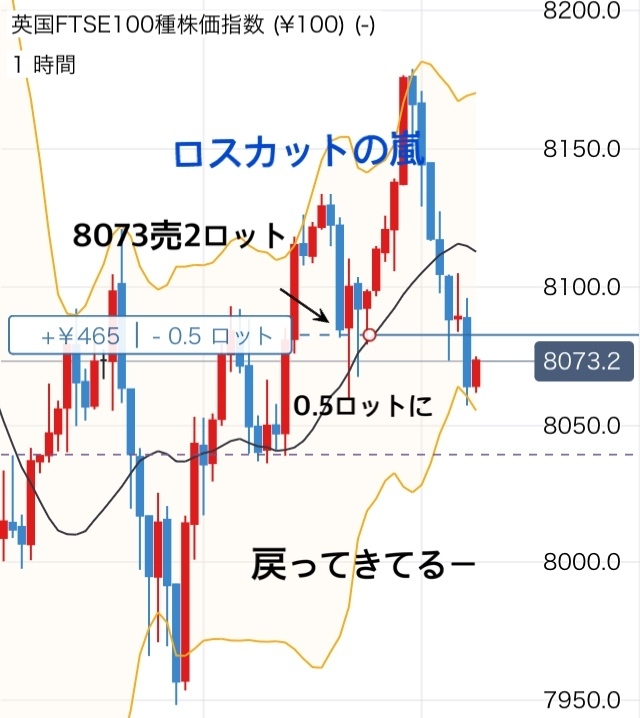 どうしてくれるのさ！植田さん！: FX STORY